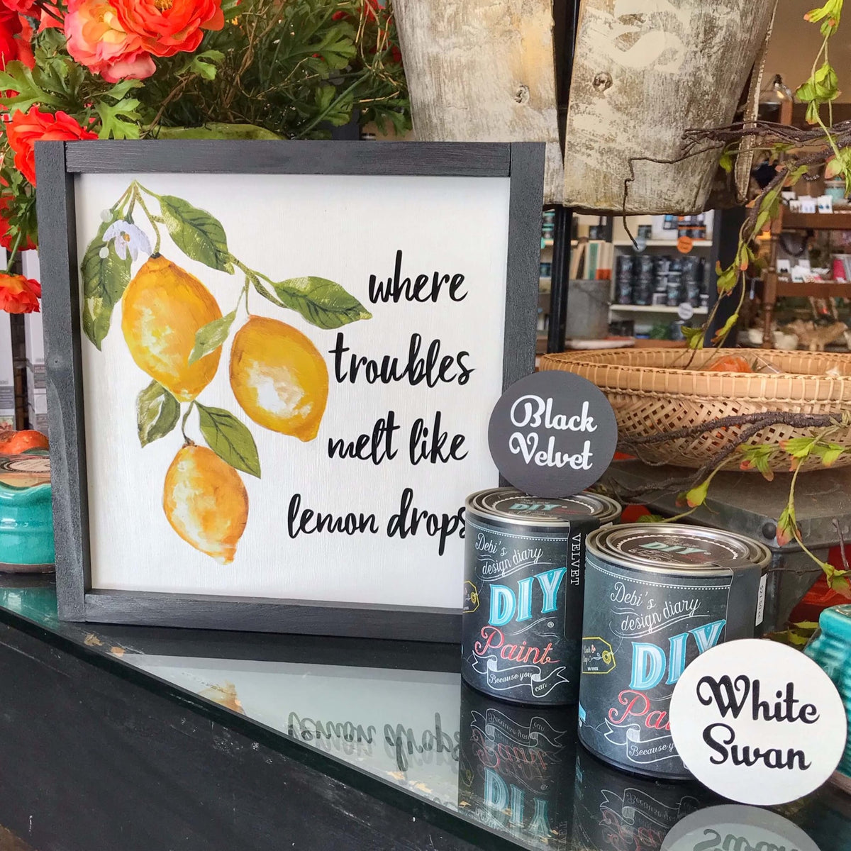 Debi's DIY Paints & Finishes – 2 Chicks Home and Market